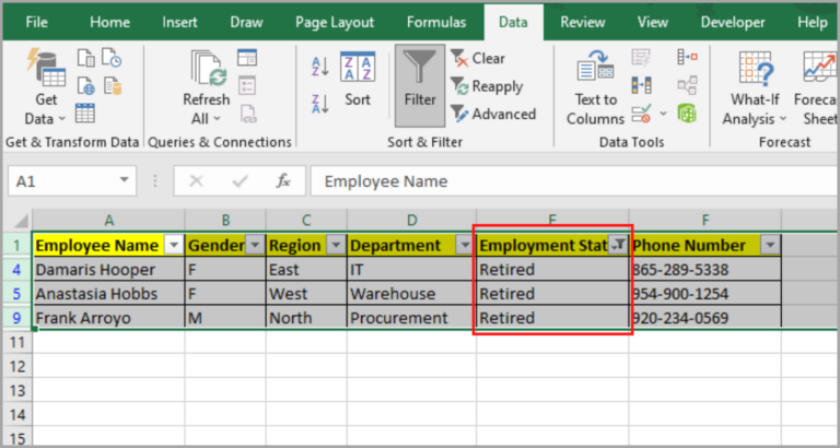 Deleting Filtered Rows (With & Without VBA) in Microsoft Excel