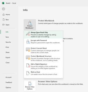 How To Make Excel File Read Only