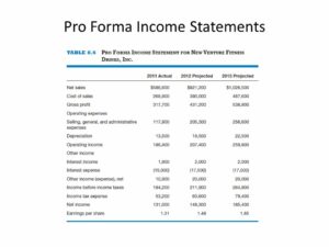 Pro Forma Financial Statements - FundsNet
