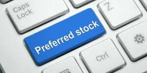 Redeemable Preference Shares - FundsNet